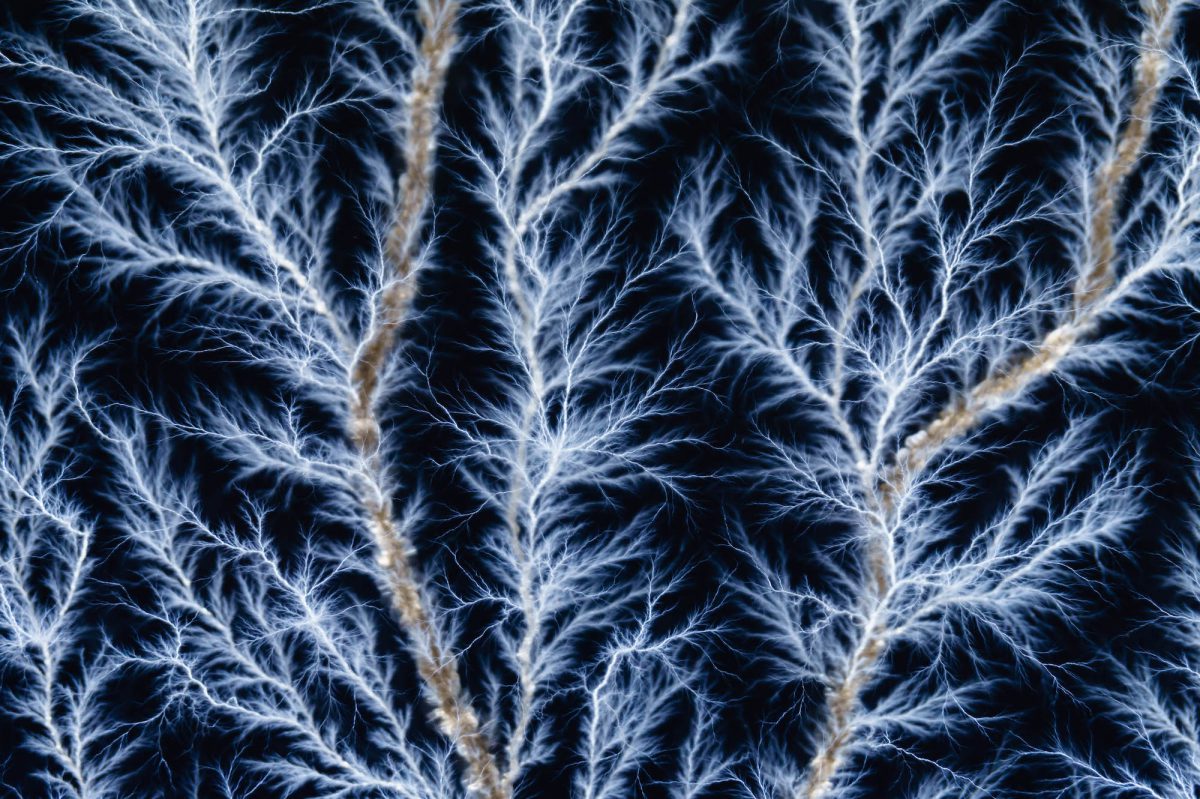 The Patterns of Chaos - Project Nile